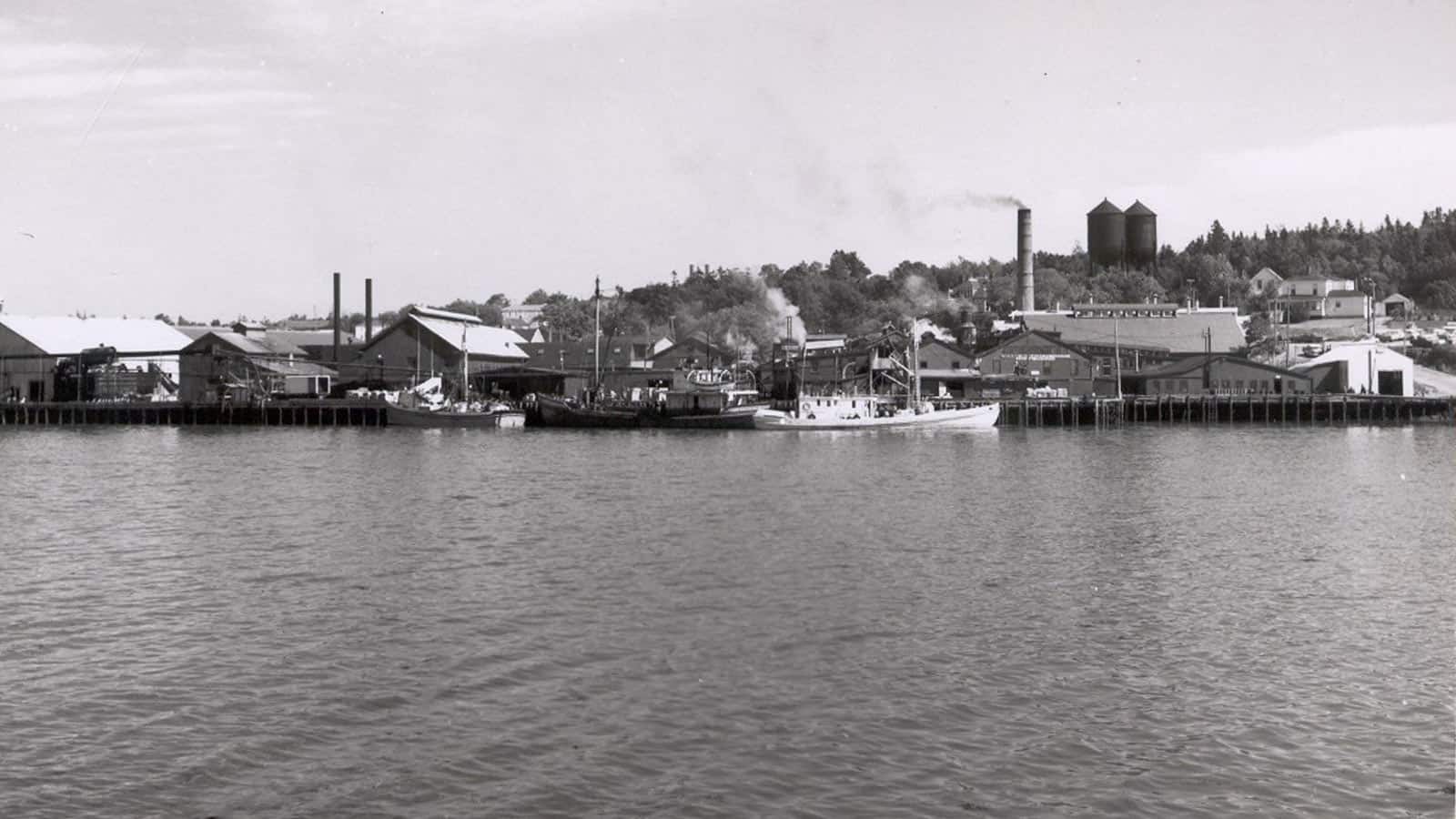 The Brunswick Story - Brunswick® Seafood